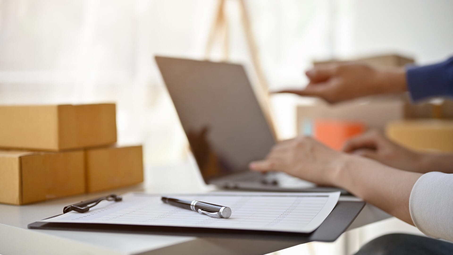 Skyfish Development | Web Development, Design, & Digital Solutions